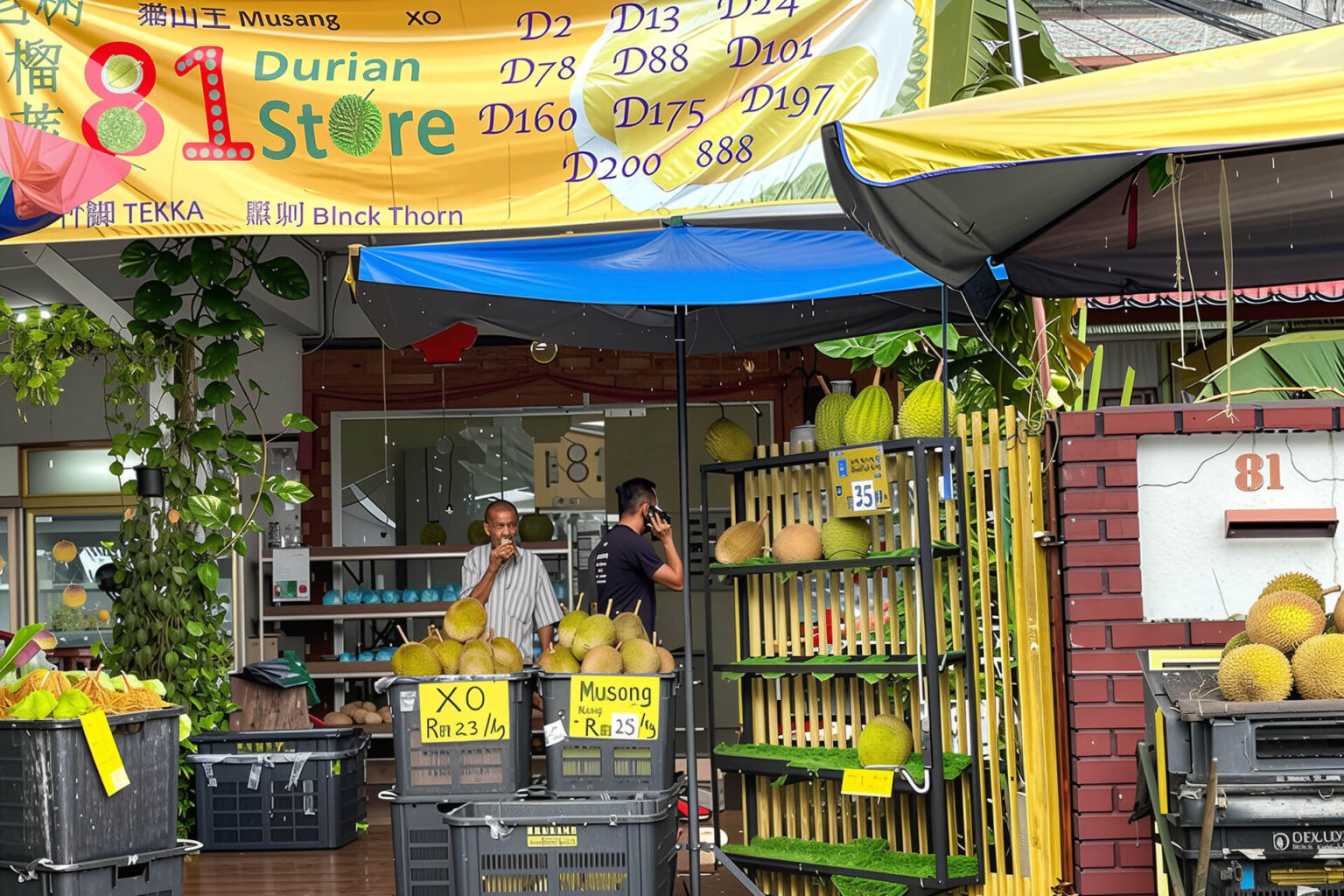 Top 10 Durian Spots in Kuala Lumpur – Where to Get the Best Durian in ...